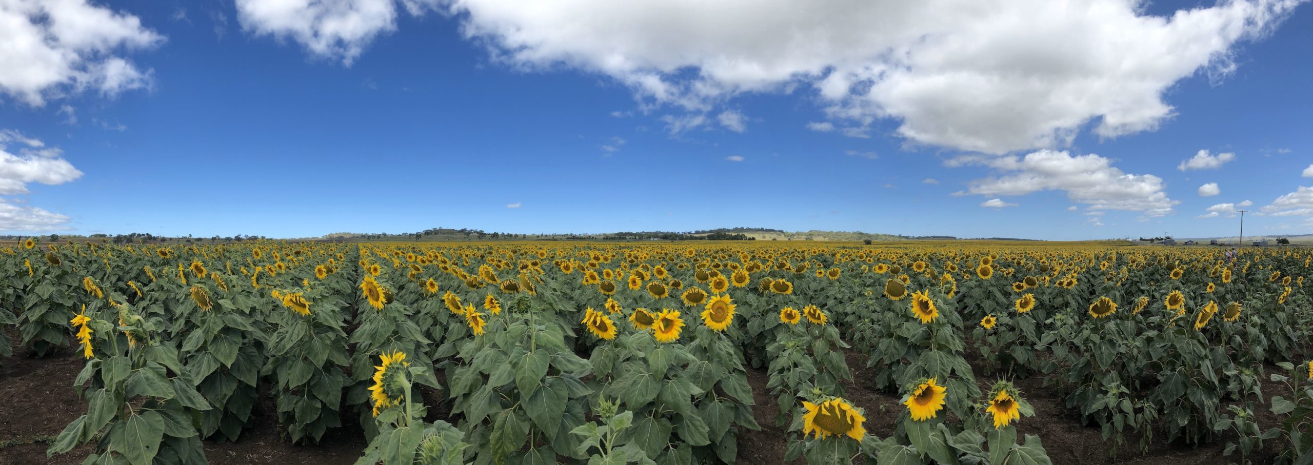 Home | National Grower Register